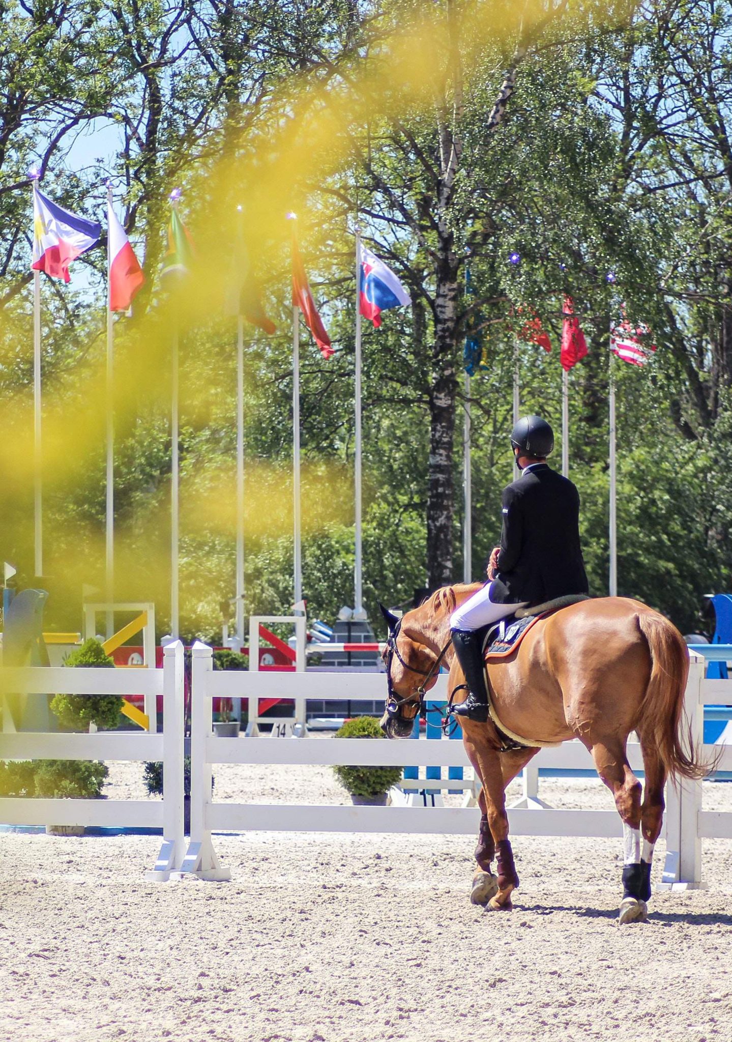 Equi-Hire Contact Information | 0800 118 26787